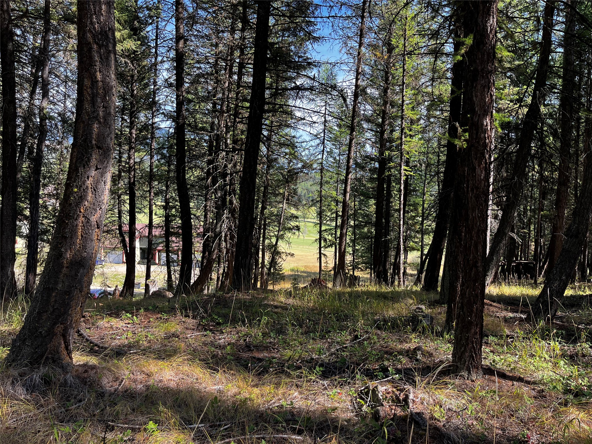NHN Crystal Lakes Drive, Eureka, MT 59917 | MLS#: 30038402 | Eureka ...